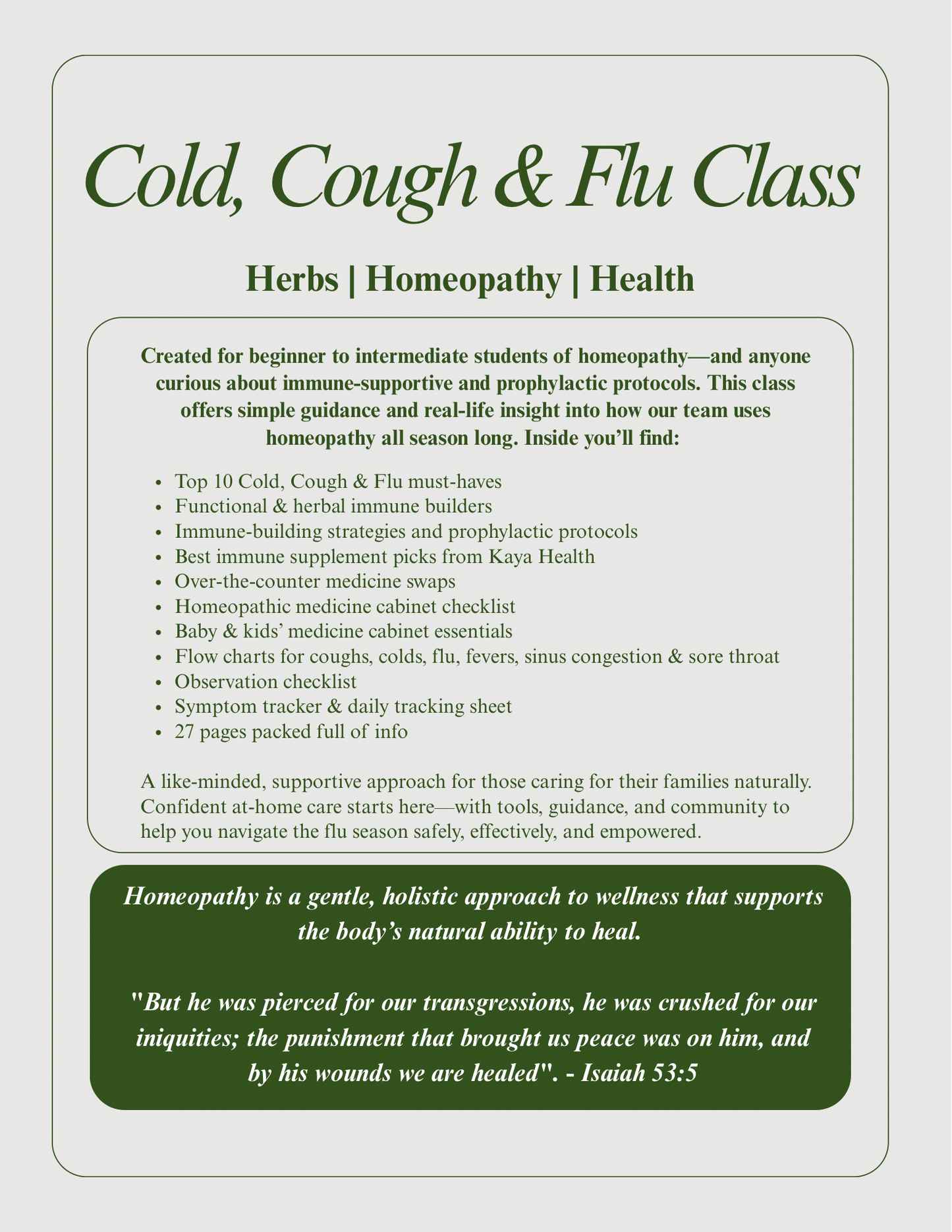 Digital Download: Cold, Cough & Flu Class – TapRoots